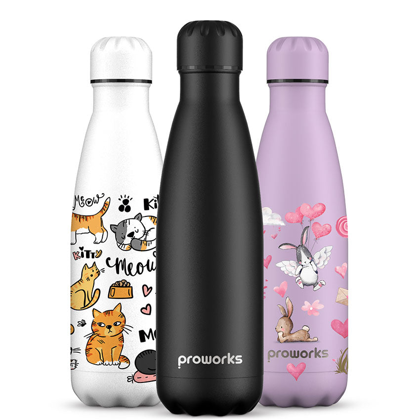 Reusable Water Bottles: Stainless, Insulated & Personalised | Proworks